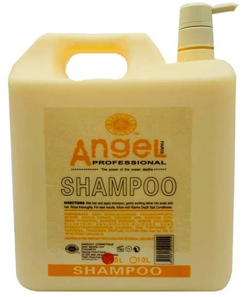 Angel En Provence Angel Professional Shampoo 5L – Afro Hair Boutique